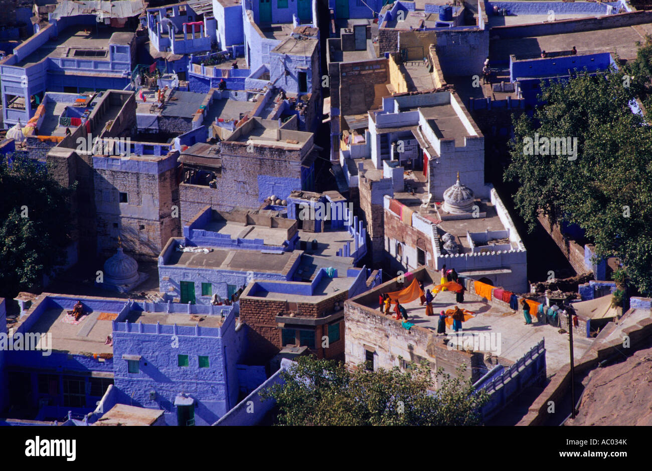 .Jodhpur the "Blue city". Rajasthan. India Stock Photo - Alamy