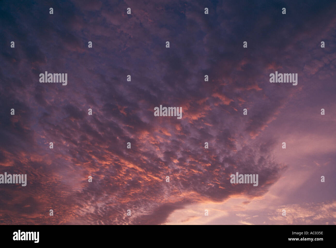 India pattern hi-res stock photography and images - Alamy