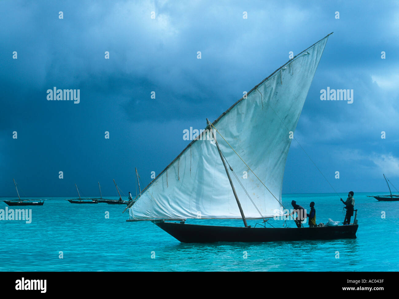 Dhow sailing boat Lateen rigged coastal sailing vessel of Arab origin ...