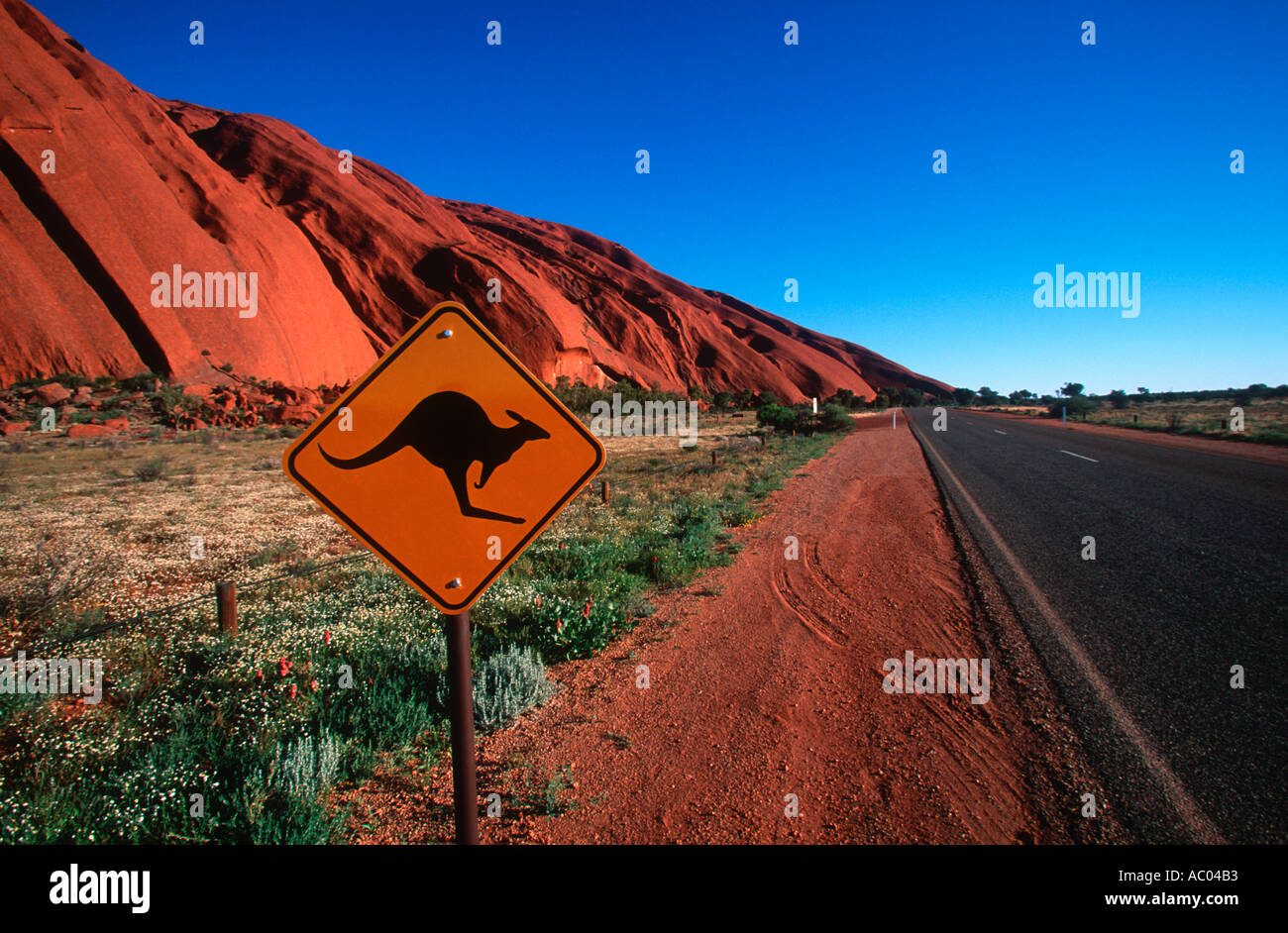 Scenery Ayers Rock and beware of Kangaroos road sign Kata Tjutu Stock ...