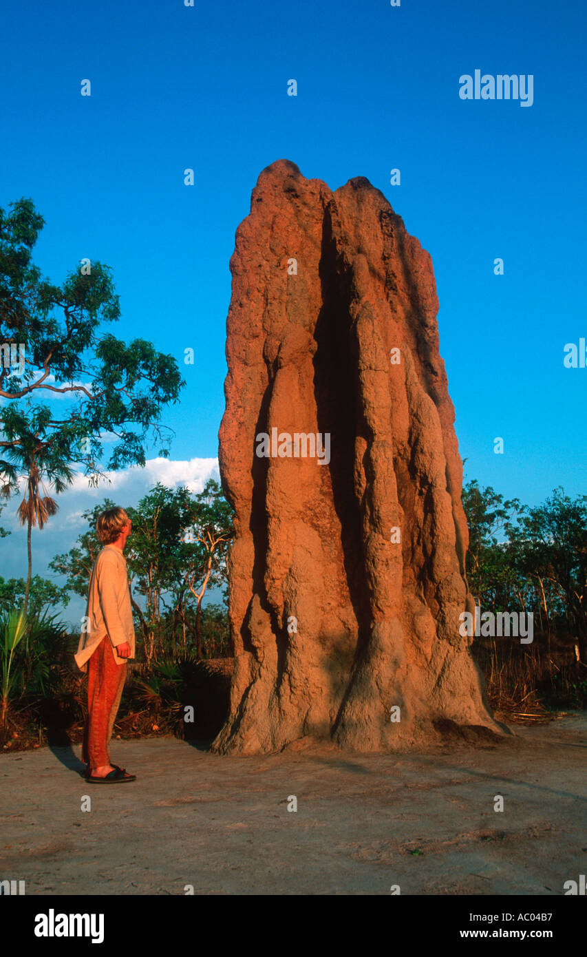 Cathedral termite mound Amoungst largest termite mound in world ...