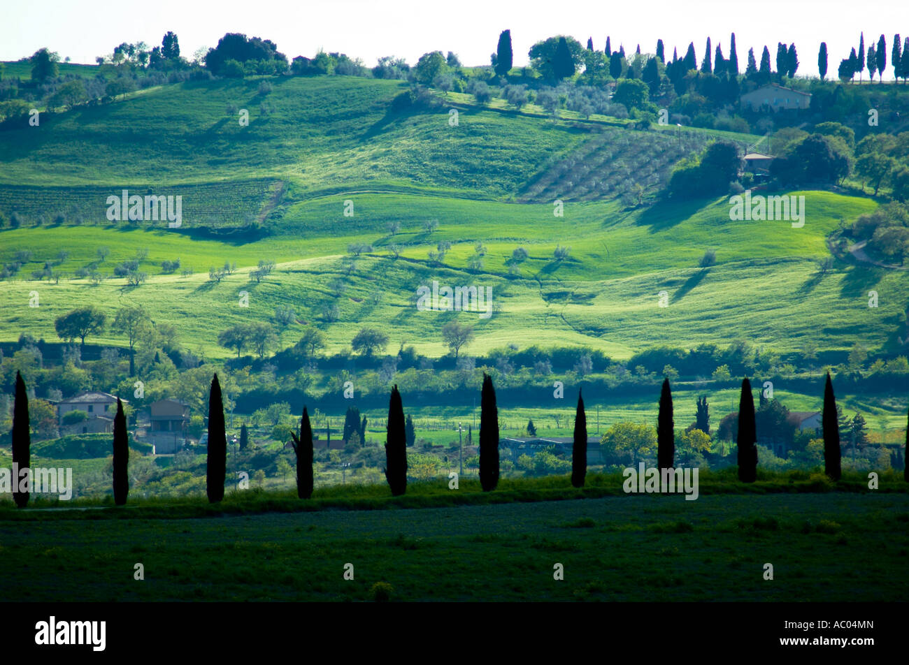 Rural countryside landscape in Tuscany region of Italy Stock Photo - Alamy