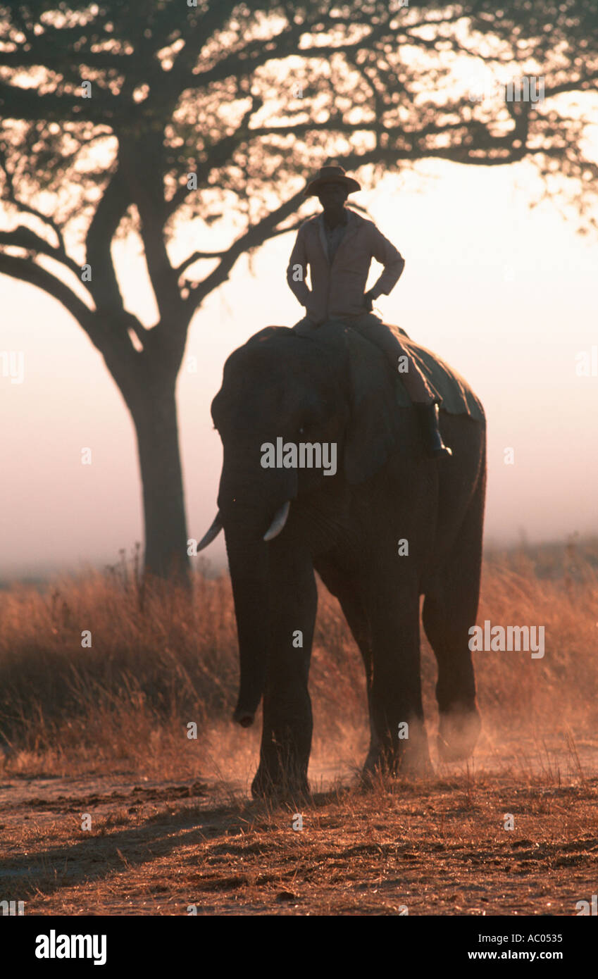 Imire hi-res stock photography and images - Alamy