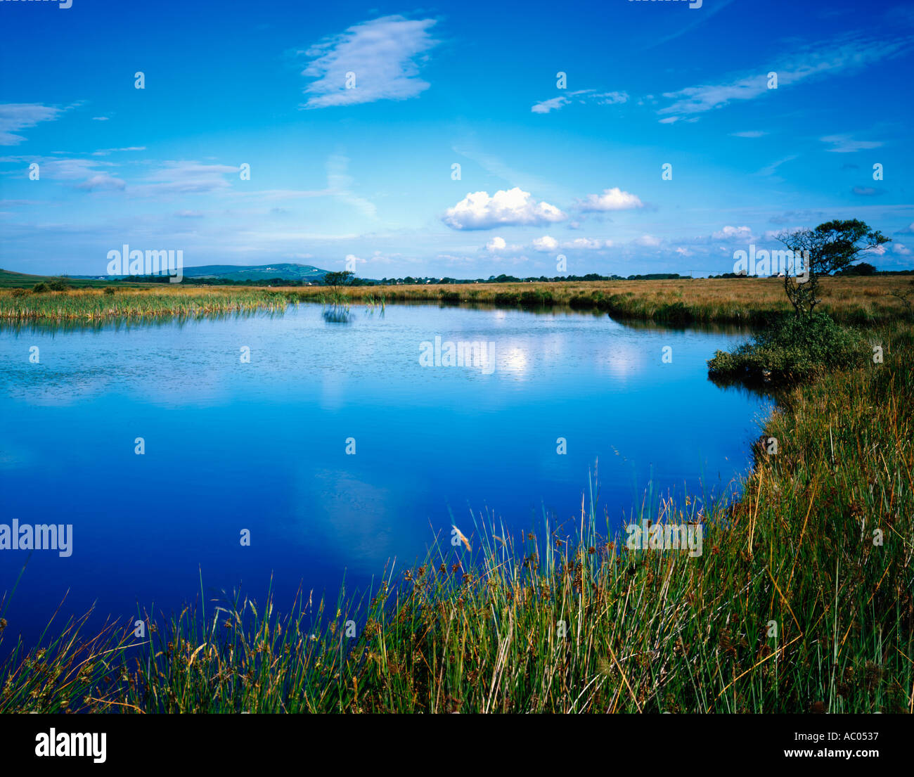 Llanmadoc hill gower hi-res stock photography and images - Alamy