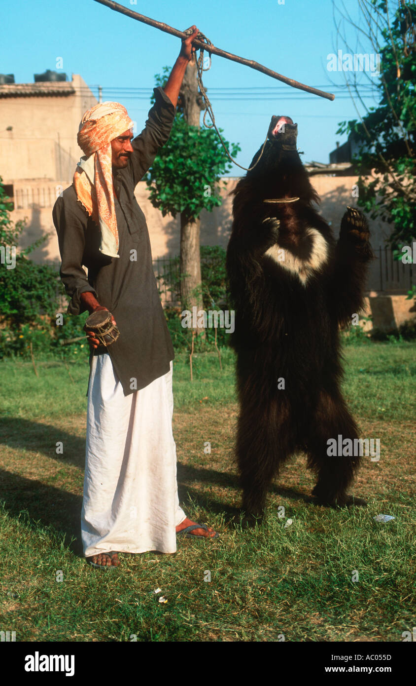 The dancing bear hi-res stock photography and images - Alamy