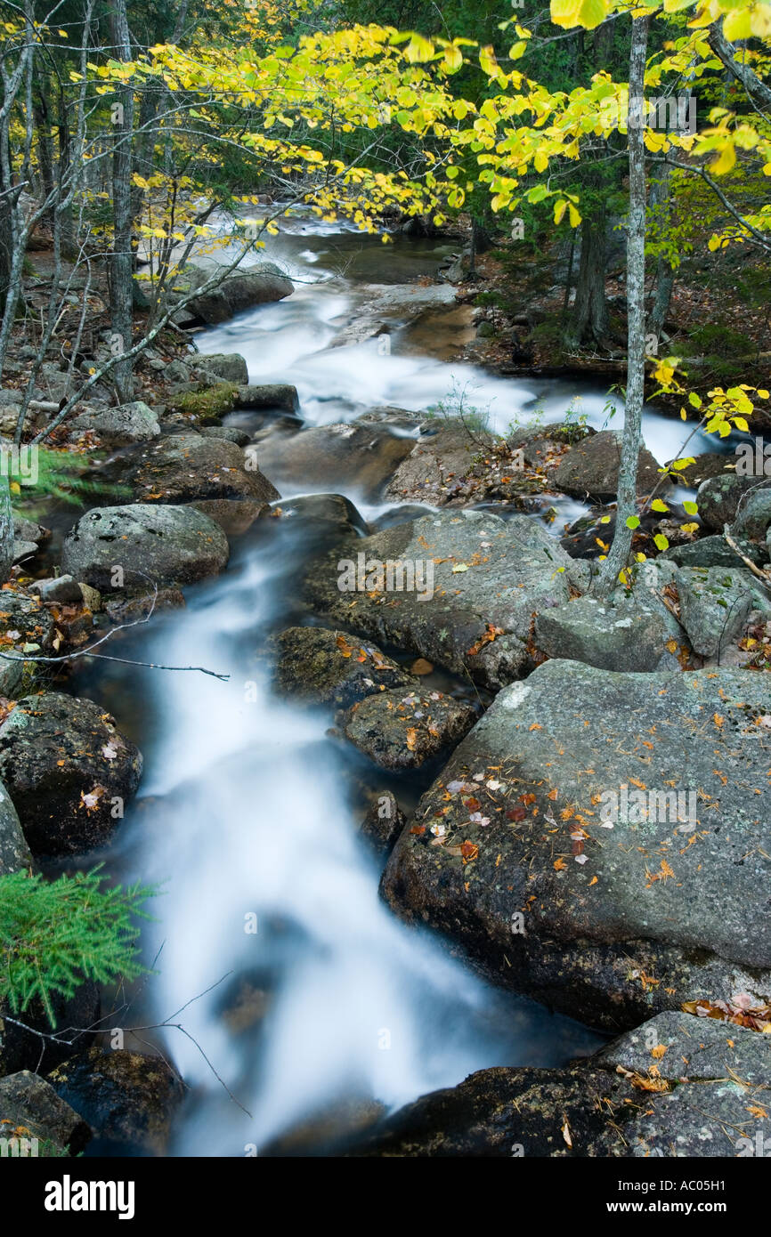 Jordan Stream in fall in Maine s Acadia National Park Stock Photo - Alamy