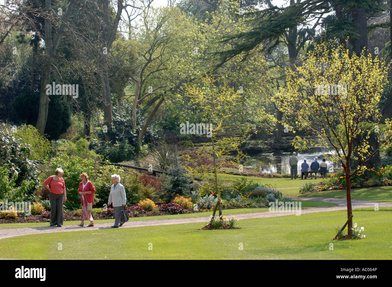 Dewstow gardens spring hi-res stock photography and images - Alamy