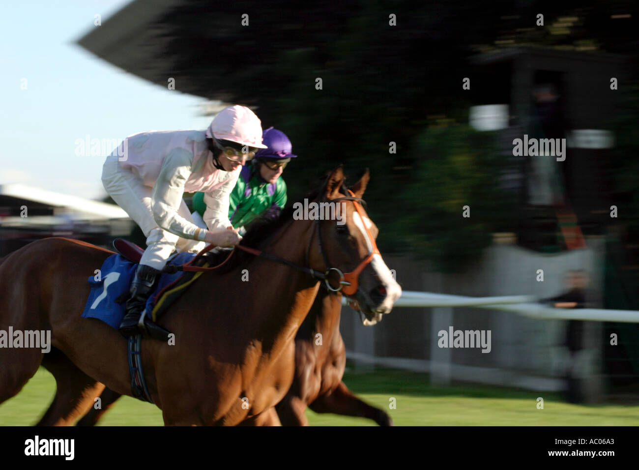 horses racing towards the winning post Stock Photo - Alamy