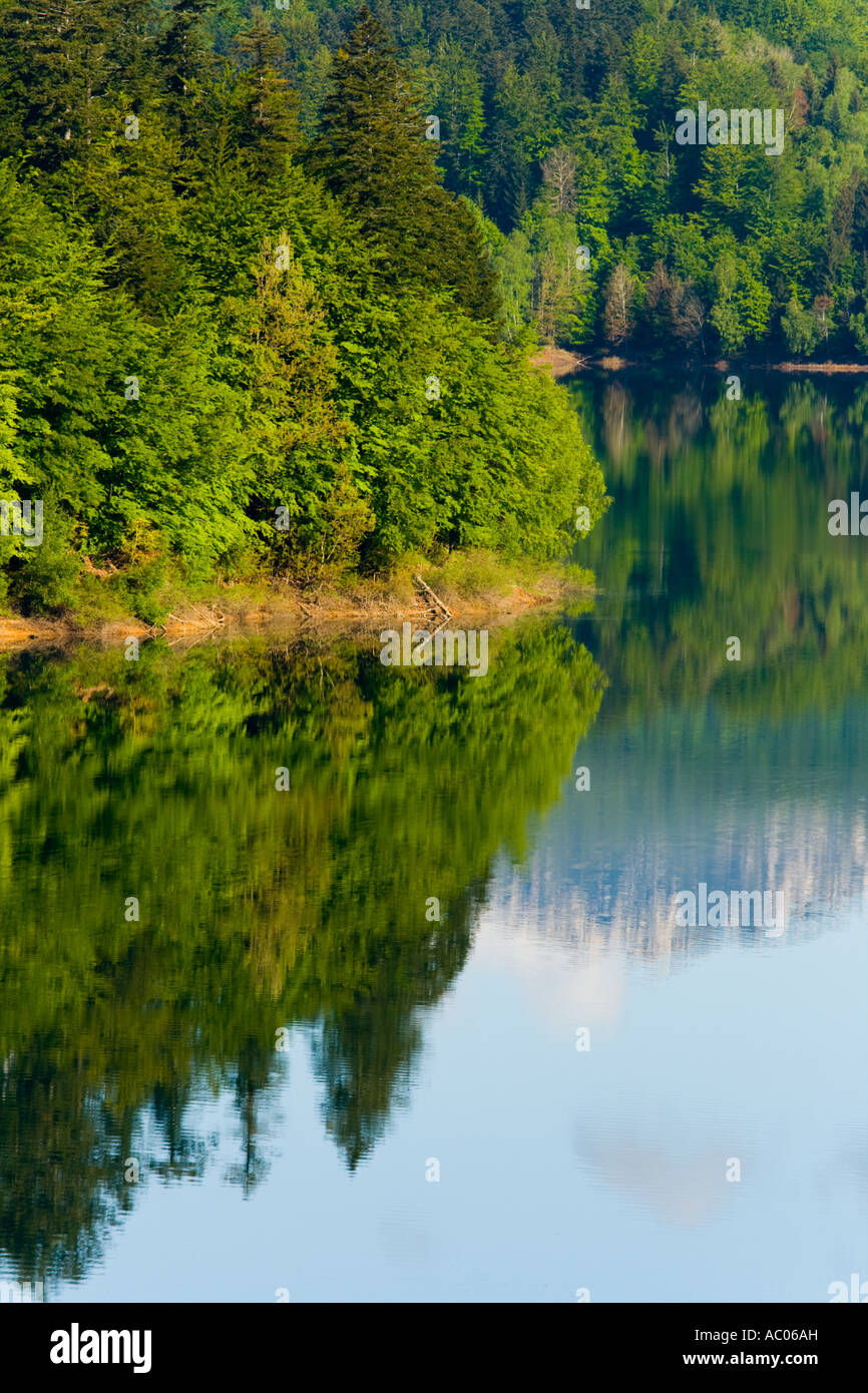 Sentimental photographs hi-res stock photography and images - Alamy