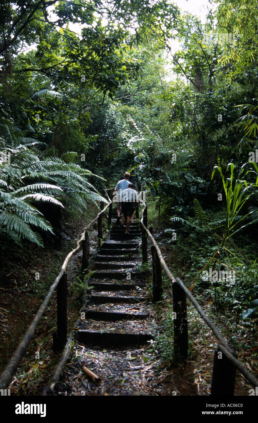 Grand etang national park hi-res stock photography and images - Alamy