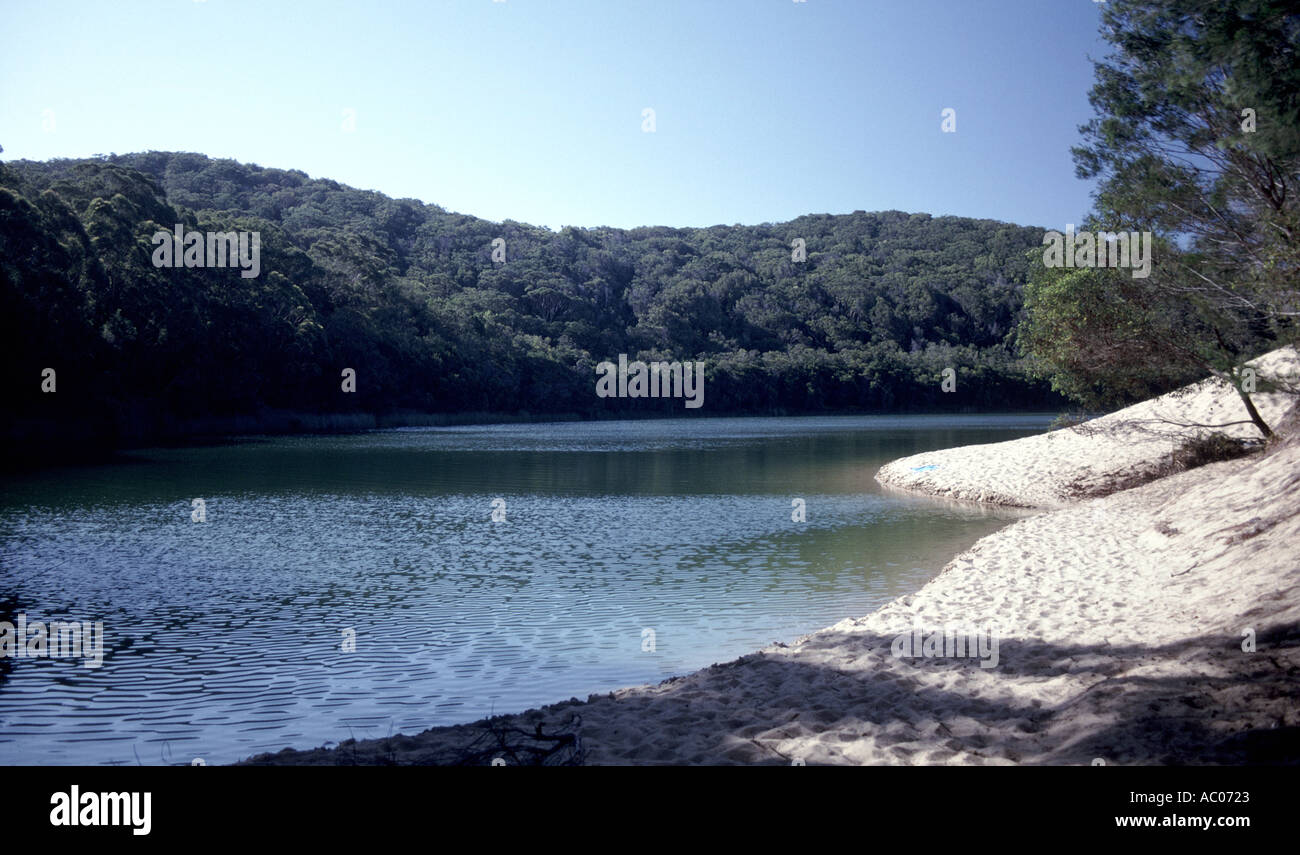 Lake Wabby Fraser Island Stock Photo - Alamy