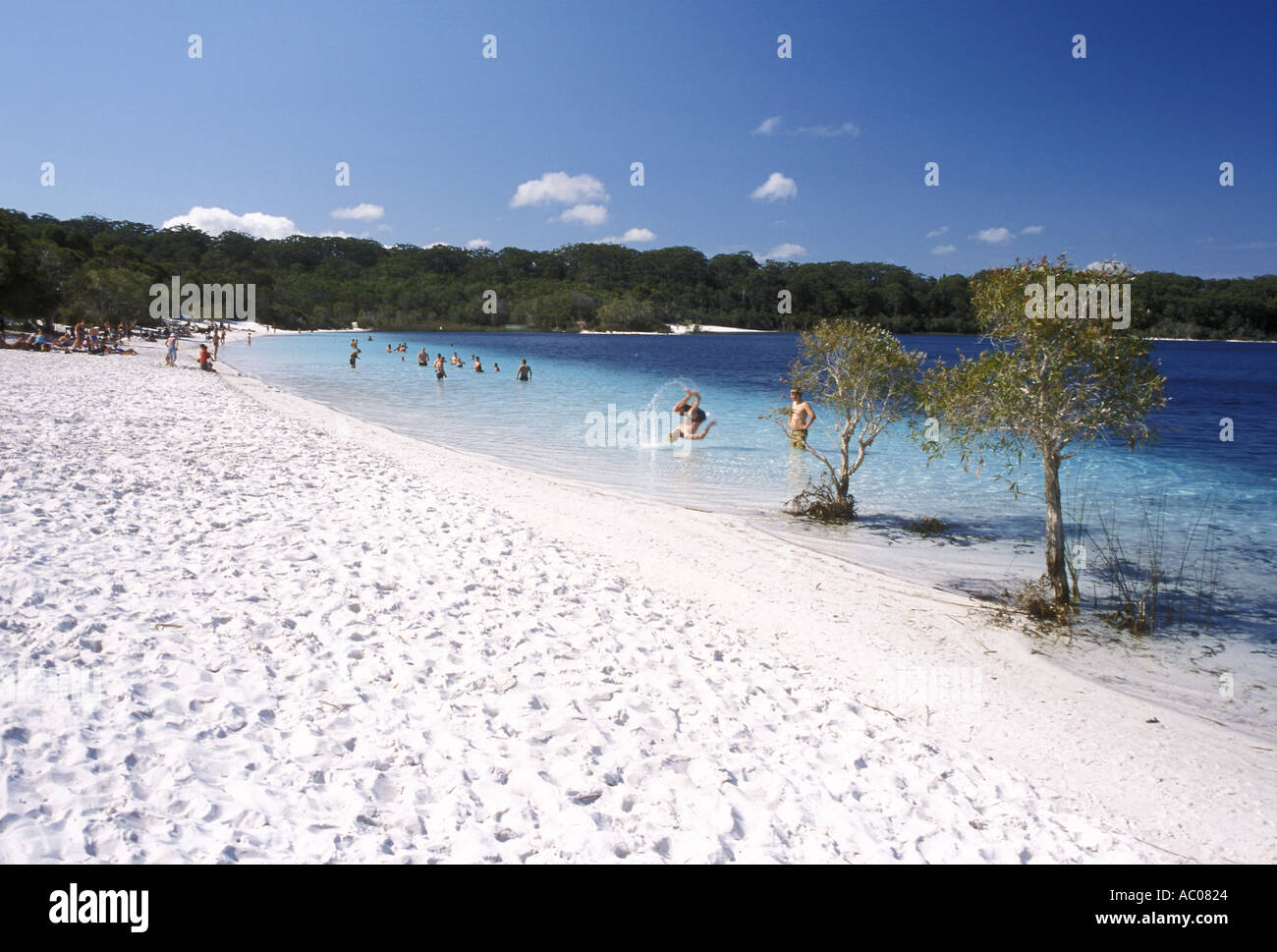 MacKenzie lake Australia Fraser island Stock Photo - Alamy