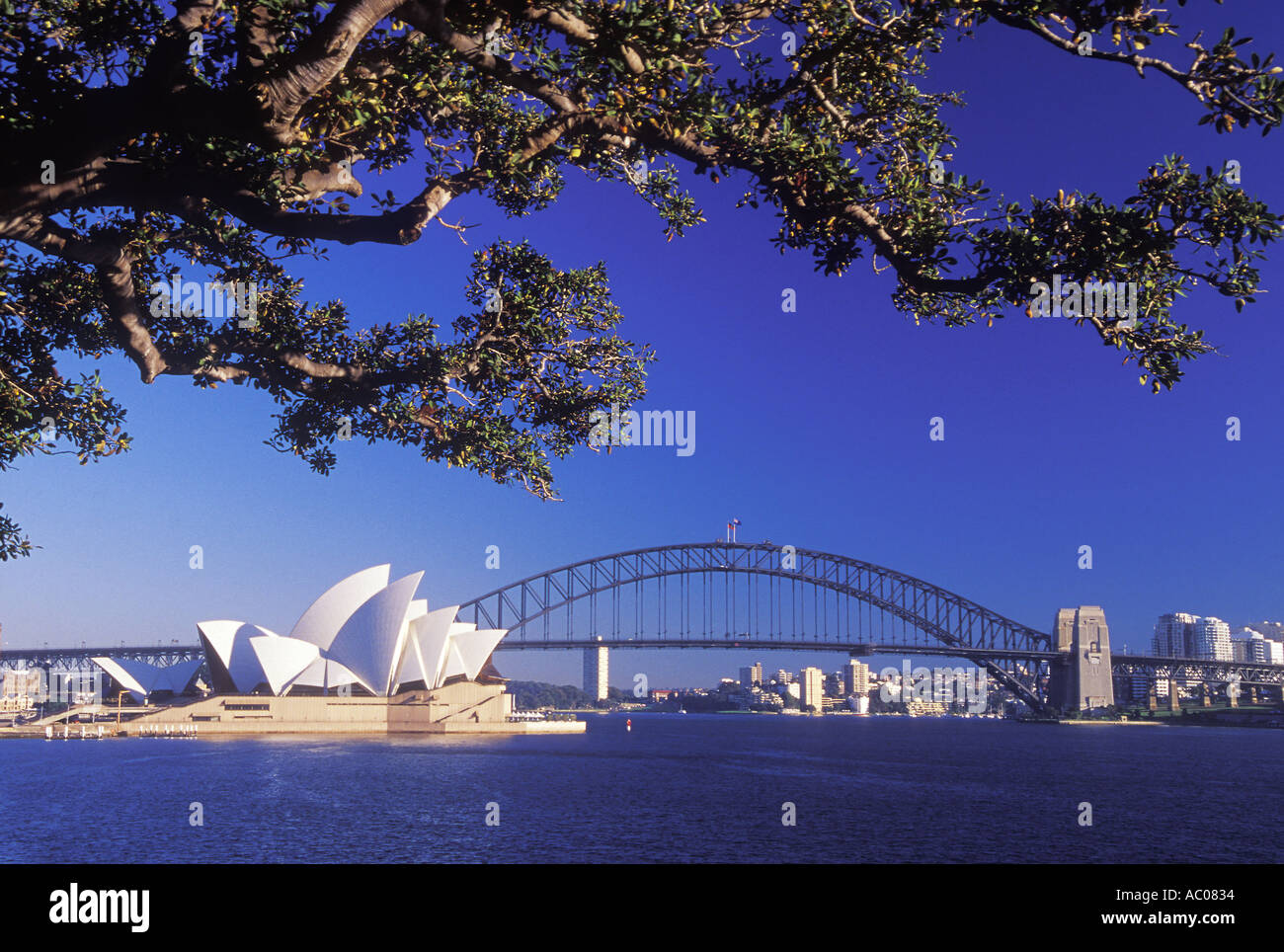 Opera House and Harbour Bridge Sydney Australia Stock Photo - Alamy
