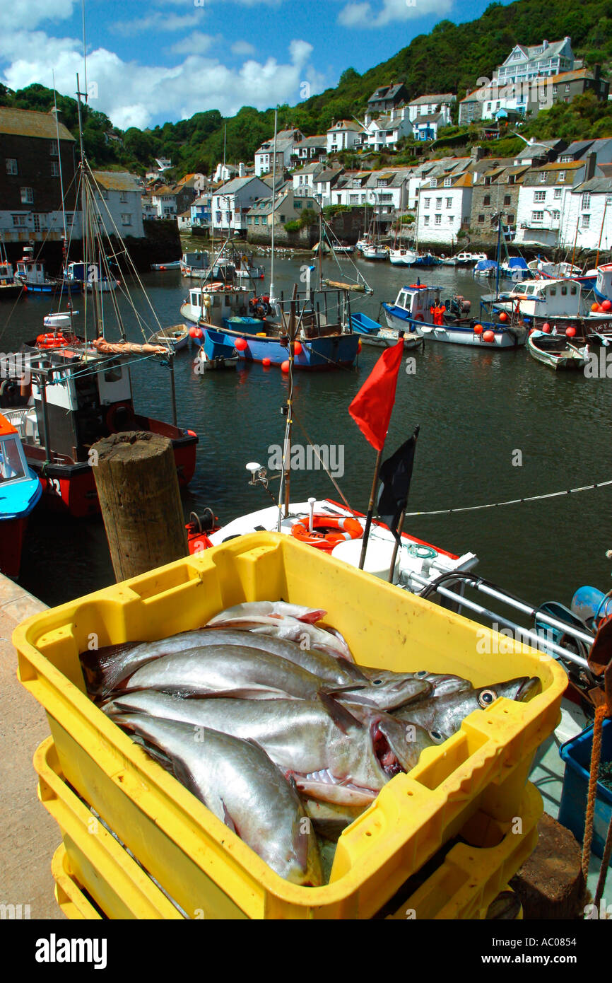 Peter pollock hi-res stock photography and images - Alamy