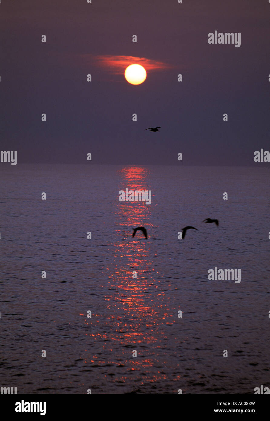 evening sun setting in the western skies over the atlantic ocean with ...