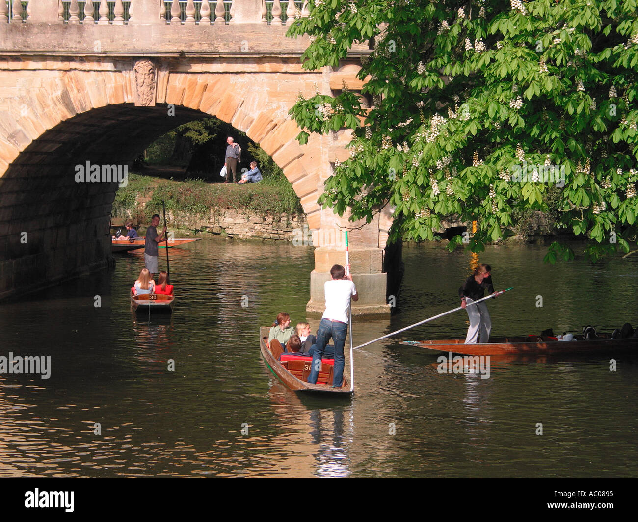 Oxford magdalen college punt hi-res stock photography and images - Alamy