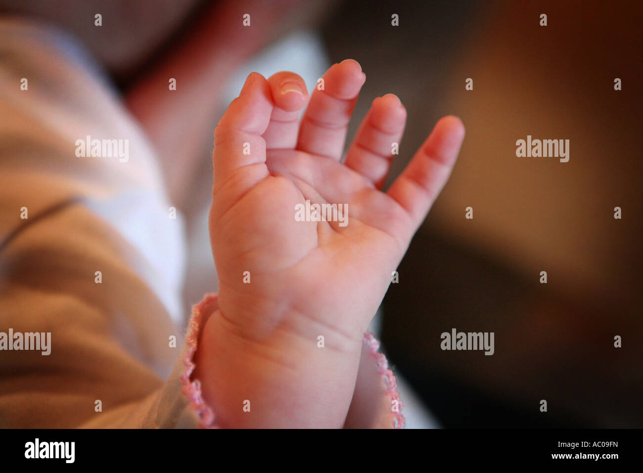 Closeup detail of the fragile hand and wrist of a newborn baby with ...