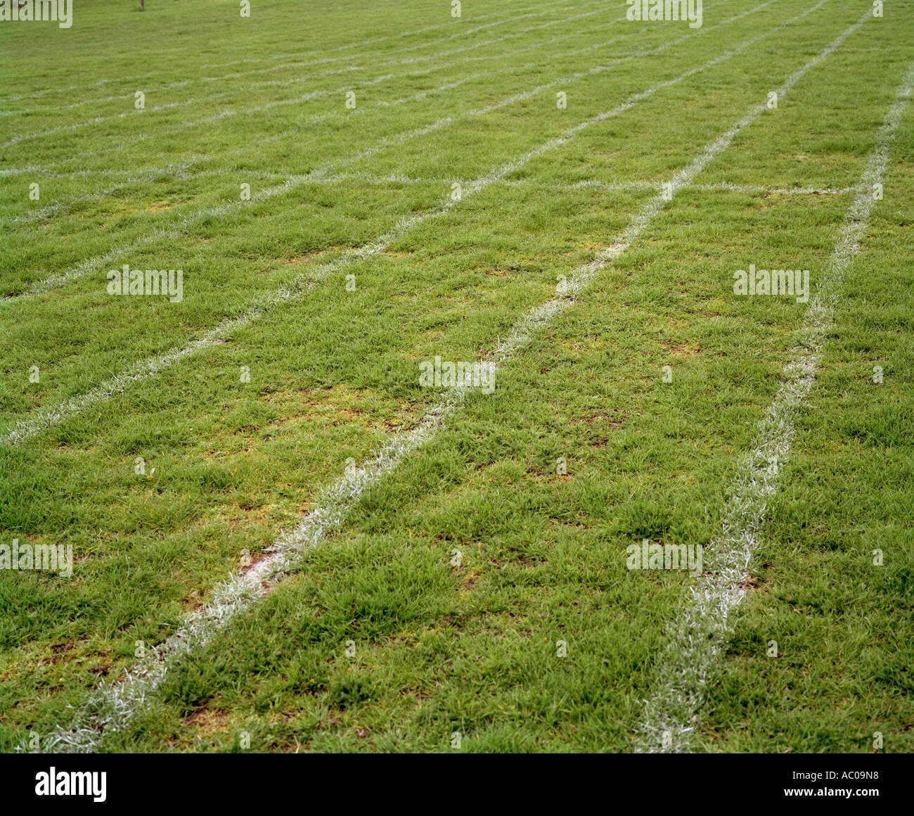 Hackney Marshes, London Stock Photo - Alamy