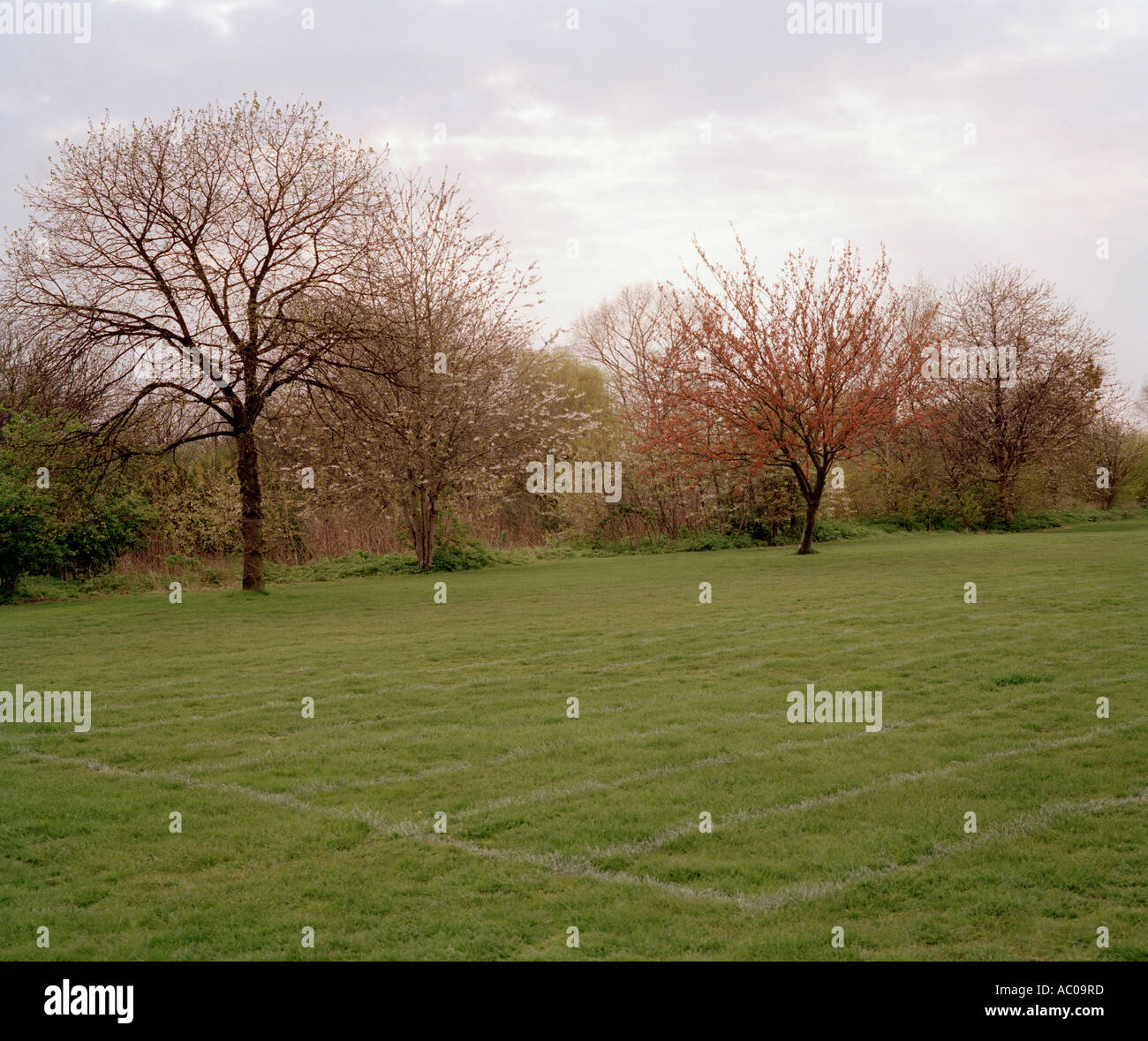 Hackney Marshes, London Stock Photo - Alamy