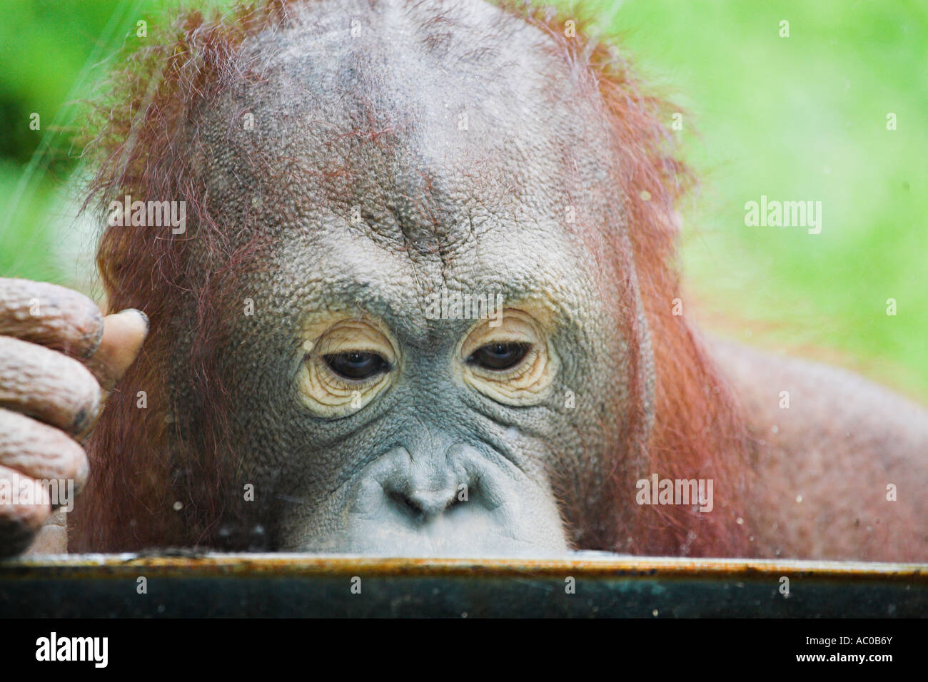 What is This -- Curiosity Stock Photo - Alamy