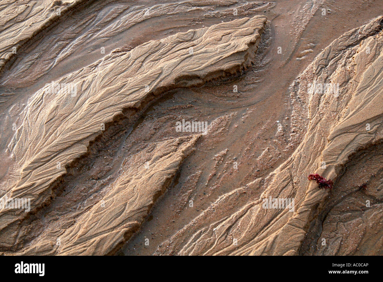 Rivulets in sand hi-res stock photography and images - Alamy