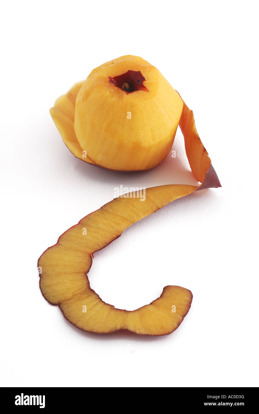 FRESH ORGANIC YELLOW FLESH NECTARINES WRAPPED IN PEEL VARIETY: BIG TOP ...