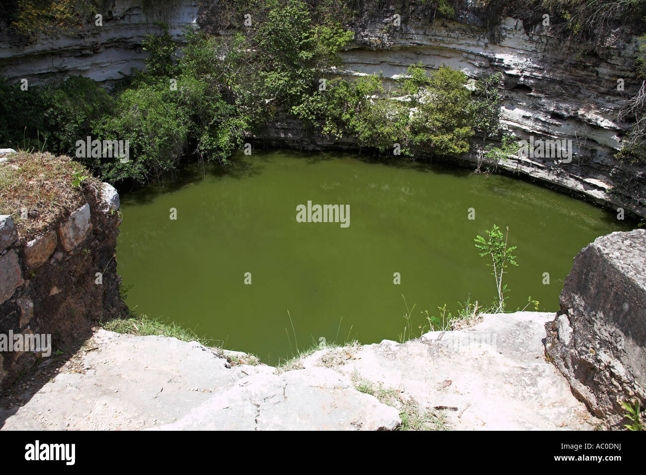 Cenote sagrado hi-res stock photography and images - Alamy
