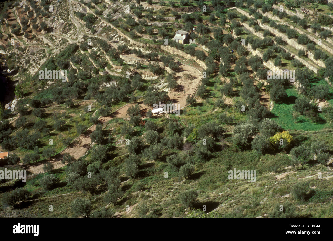 Spanish terraced hillside hi-res stock photography and images - Alamy