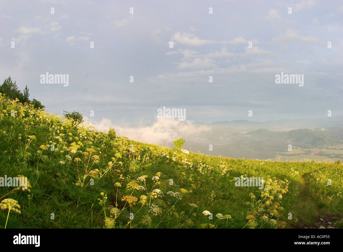 Sunset evening twilight on mountain Slivnica Slovenia Stock Photo - Alamy