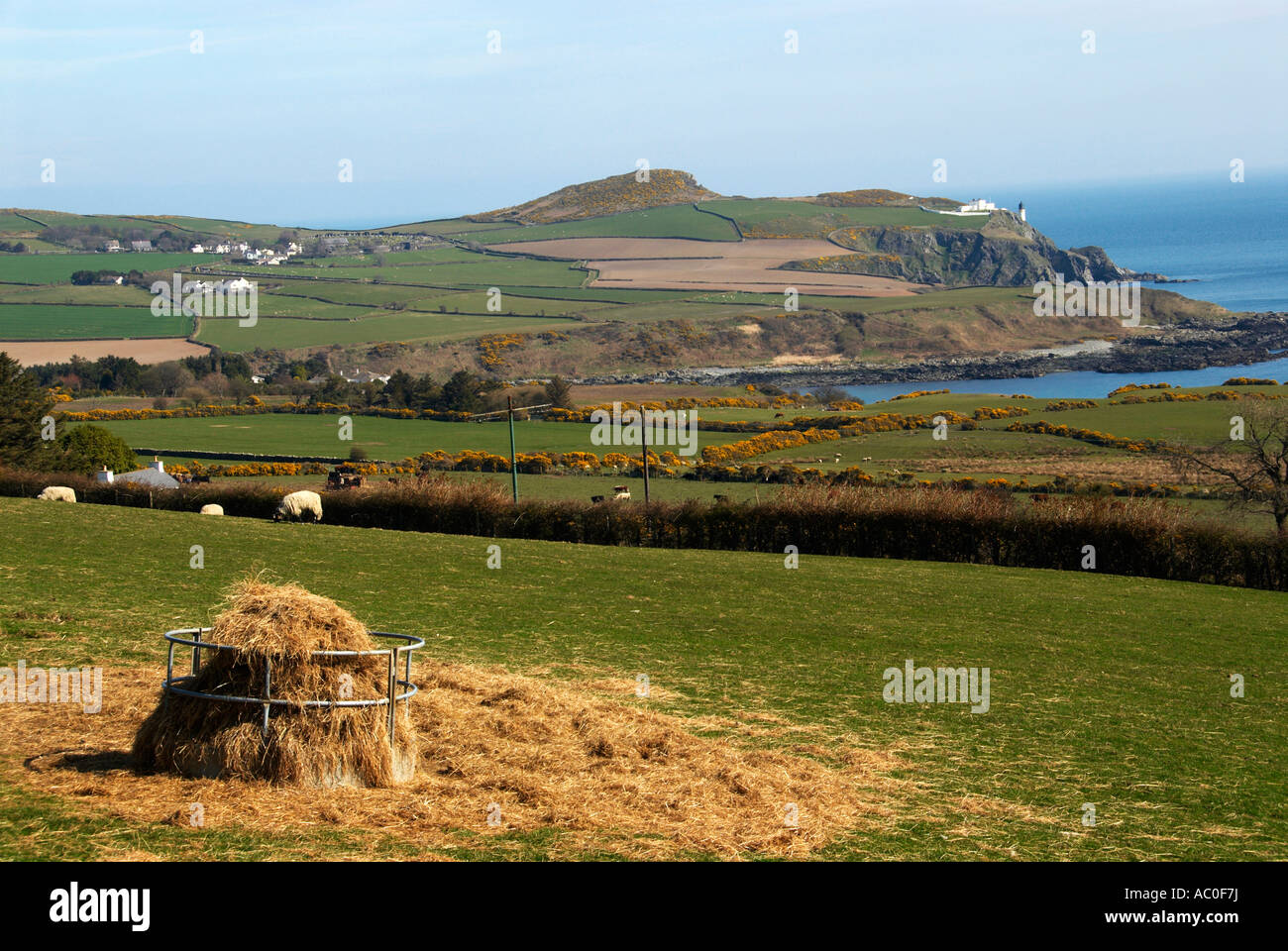 Maughold head isle man hi-res stock photography and images - Alamy