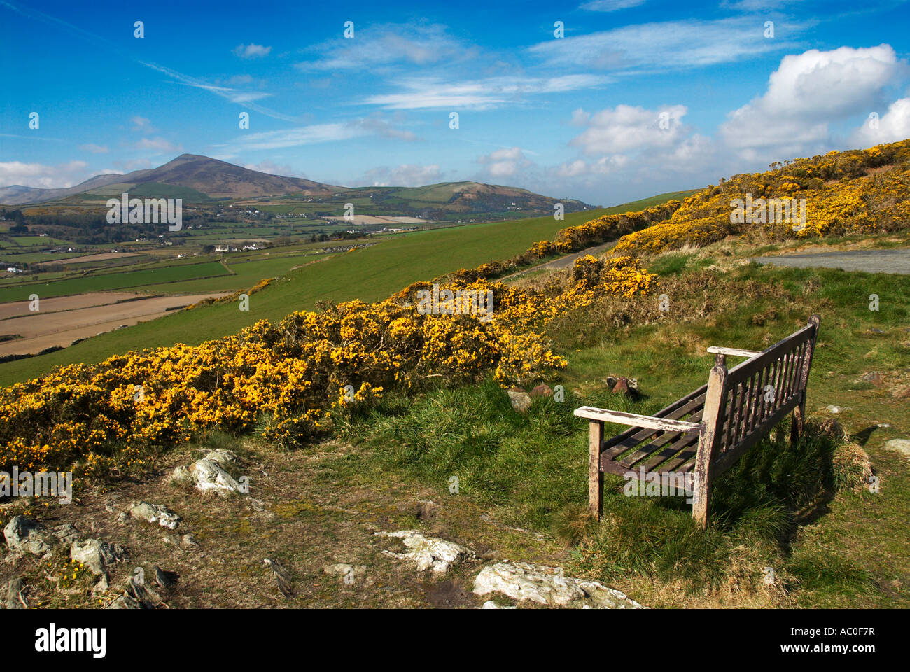 Oak Bench At Maughold Head IOM Stock Photo - Alamy