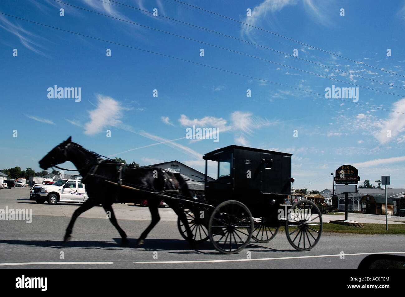 Americans,Amish,Mid-west,Transportation Horse,NorthAmerica,USA Vehicle ...