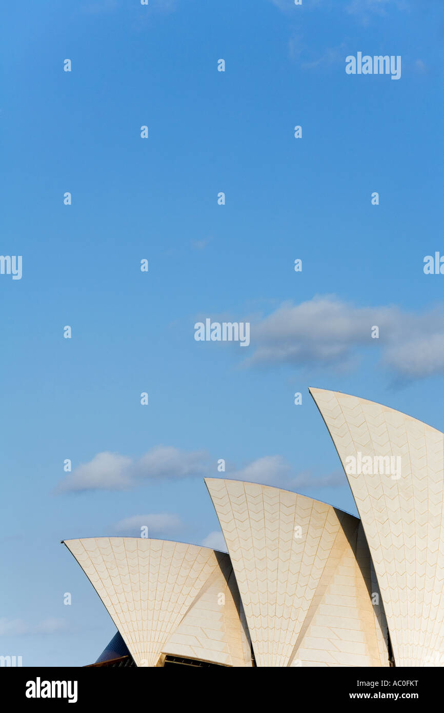 The iconic arches of the Sydney Opera House - inspired by palm fronds ...
