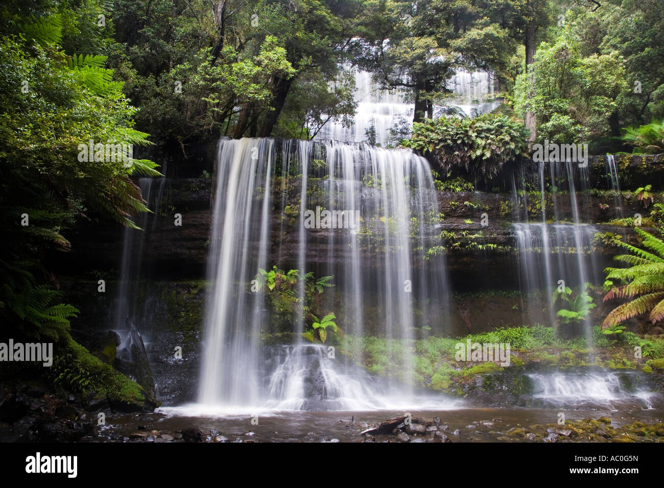 Russell Falls in Mount Field National Park Tasmania Stock Photo - Alamy
