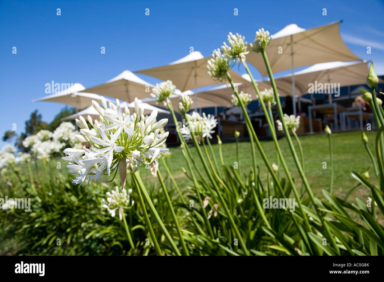 The award winning Peppermint Bay restaurant Woodbridge Tasmania Stock ...