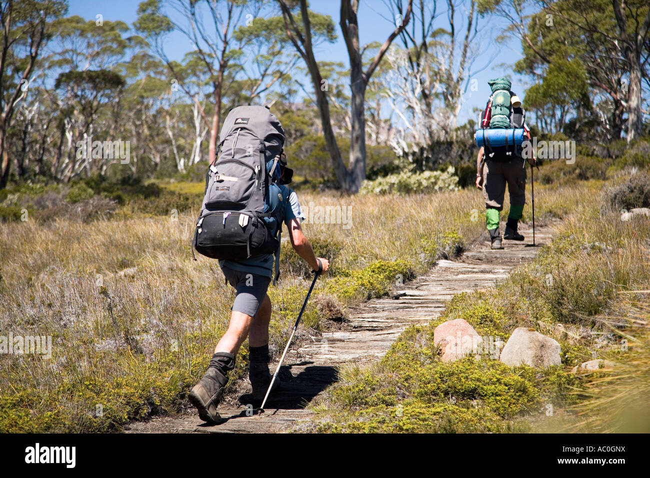 Trekkers hike the Overland Track through Tasmania's Central Highlands ...