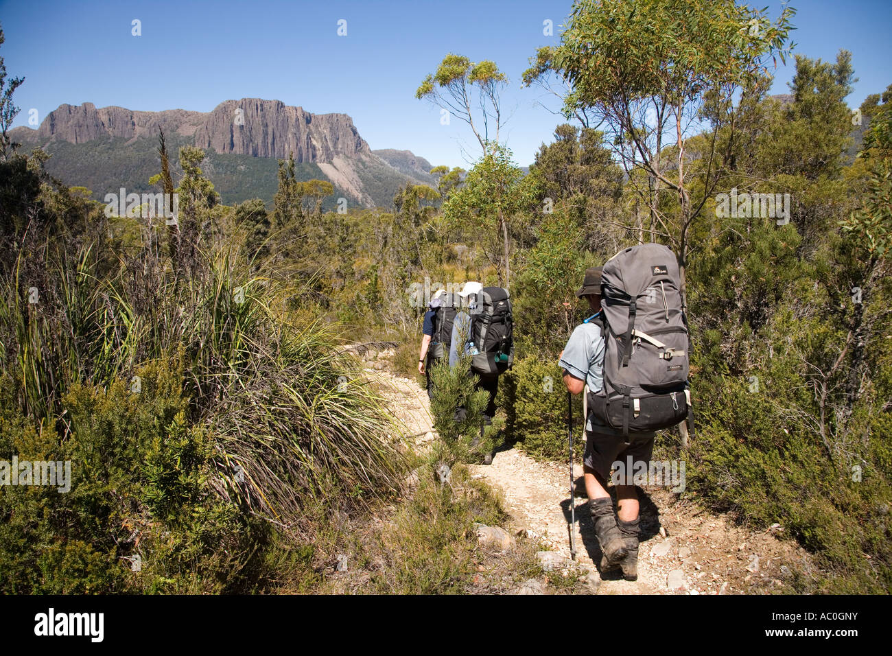 Trekkers hike the Overland Track through Tasmania s Central Highlands ...