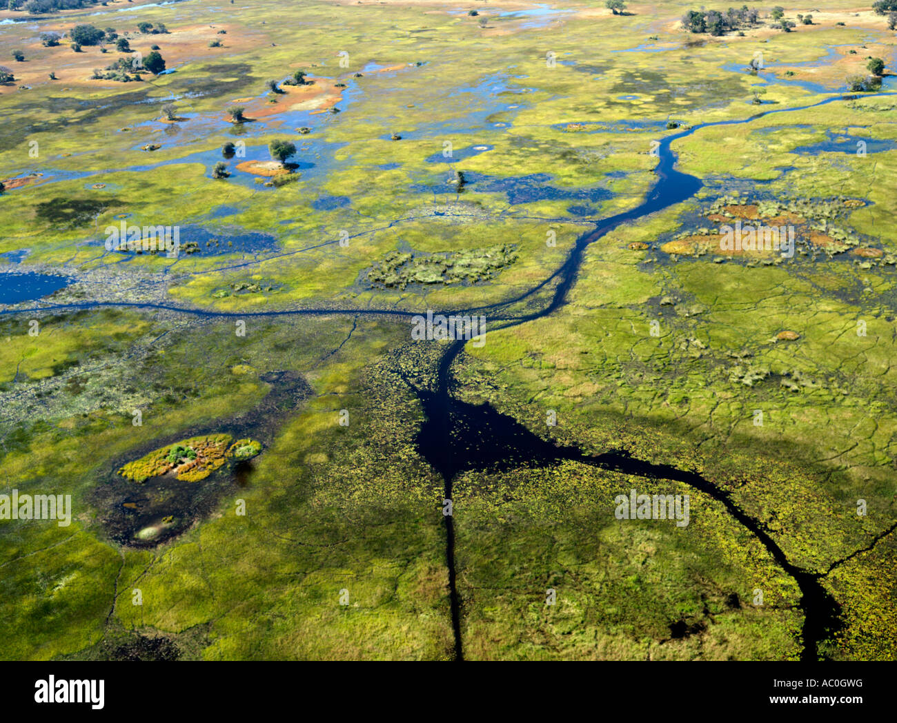 An aerial photograph of the Okavango Delta Stock Photo - Alamy