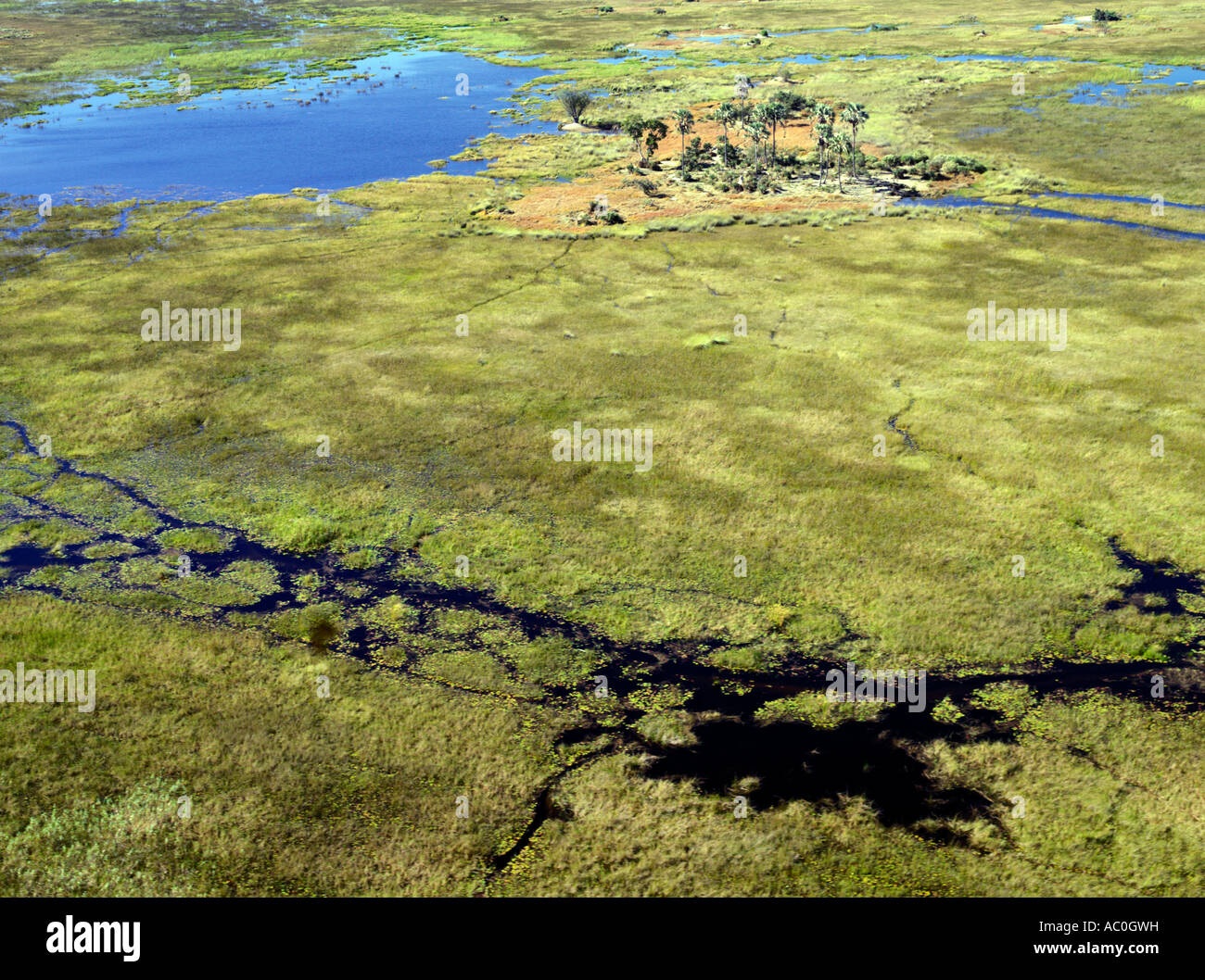 An aerial photograph of the Okavango Delta Stock Photo - Alamy