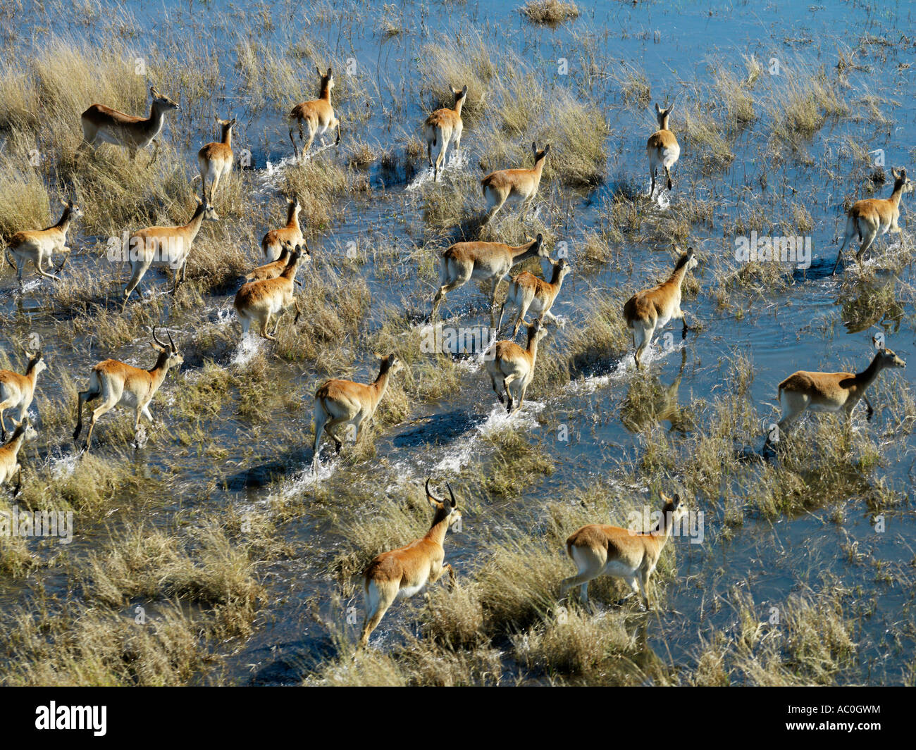 Red river flood aerial hi-res stock photography and images - Alamy