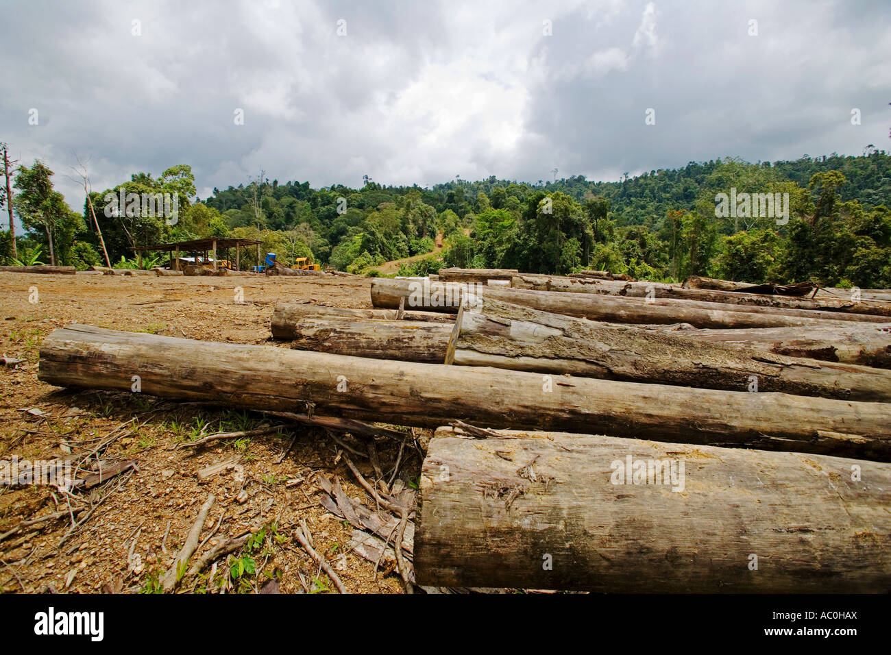 Logging and deforistation of primary rainforest in the Crocker Range ...