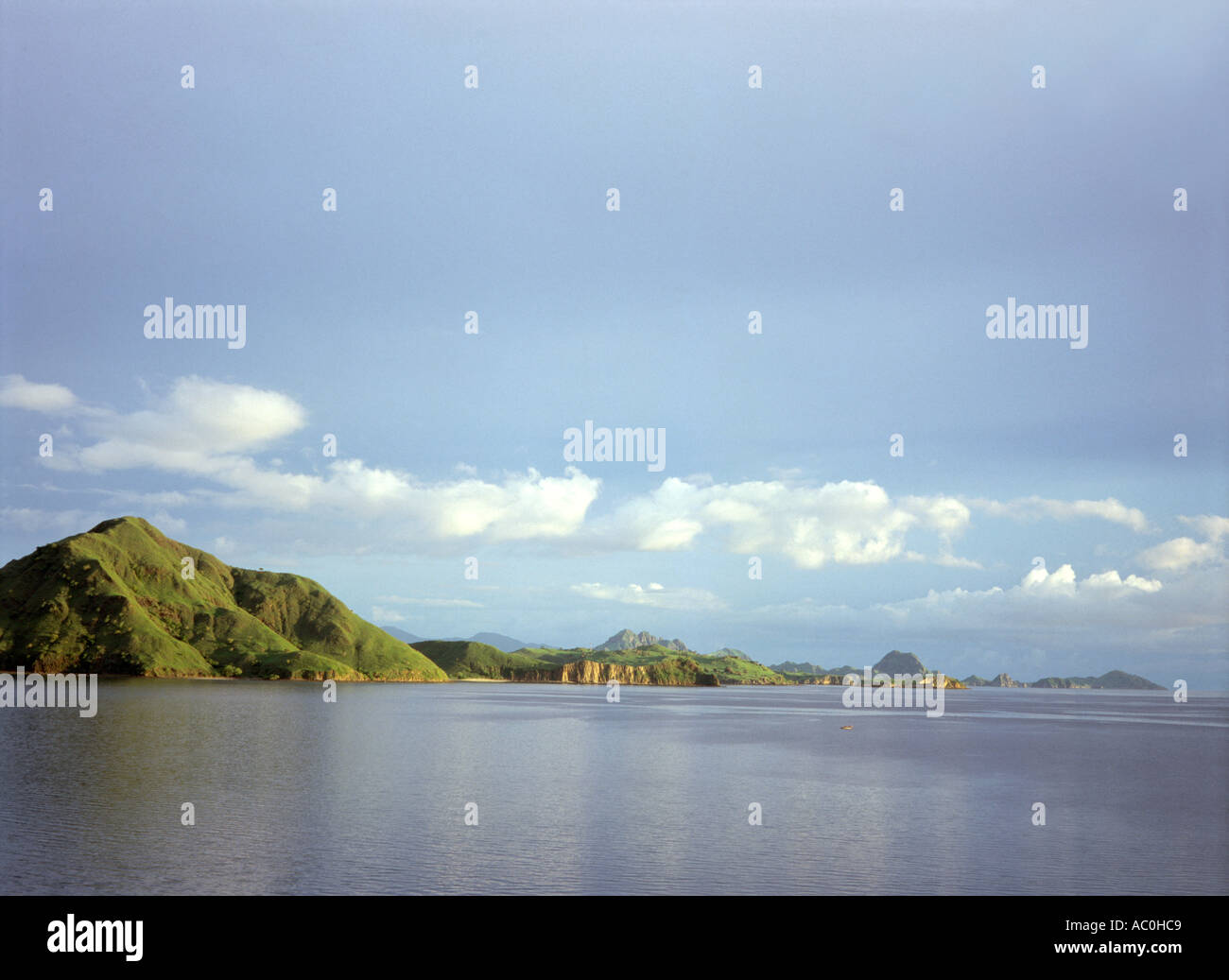 Komodo dragon ecology High Resolution Stock Photography and Images - Alamy