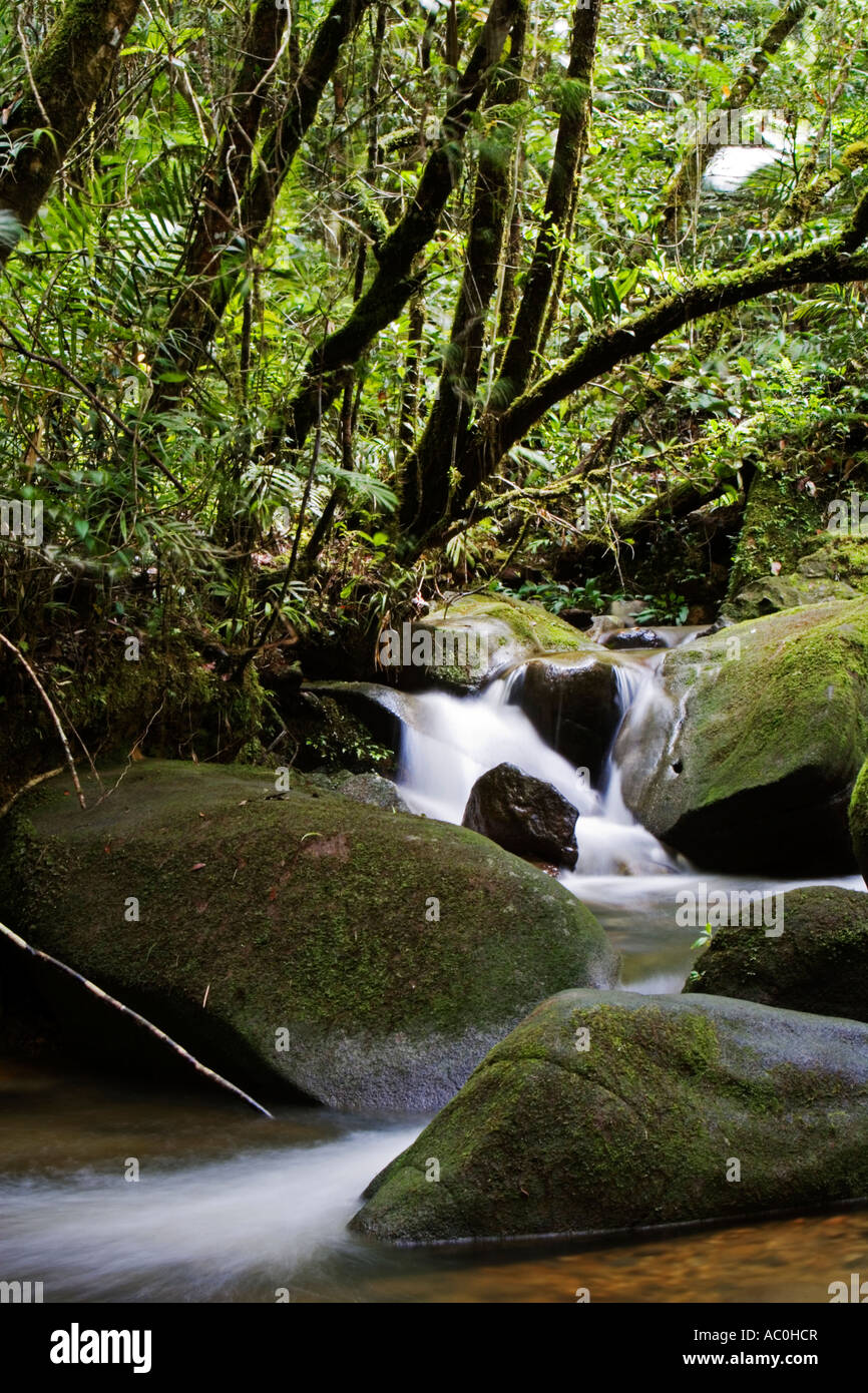 Rainforest and waterfall in biopark near the entrance to Mount Kinabalu ...