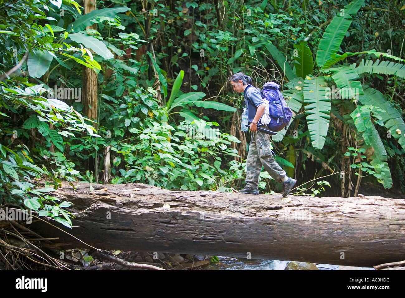 Borneo jungle hiking: hiking in borneo – Akapv