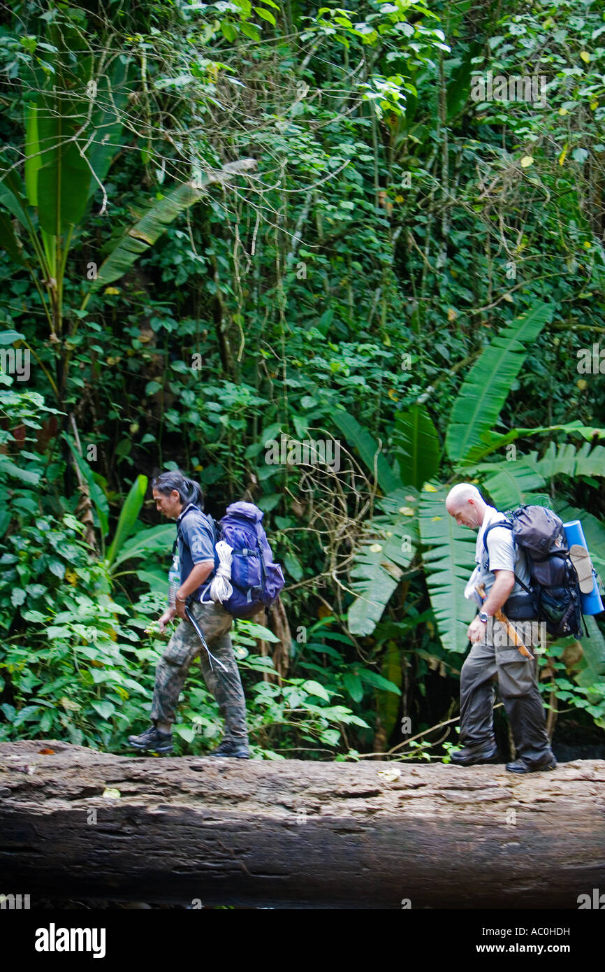 Trekking and Hiking in the rainforests of Borneo a river crossing in ...