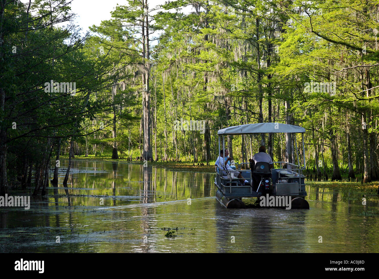 Louisiana bayou boat hi-res stock photography and images - Alamy