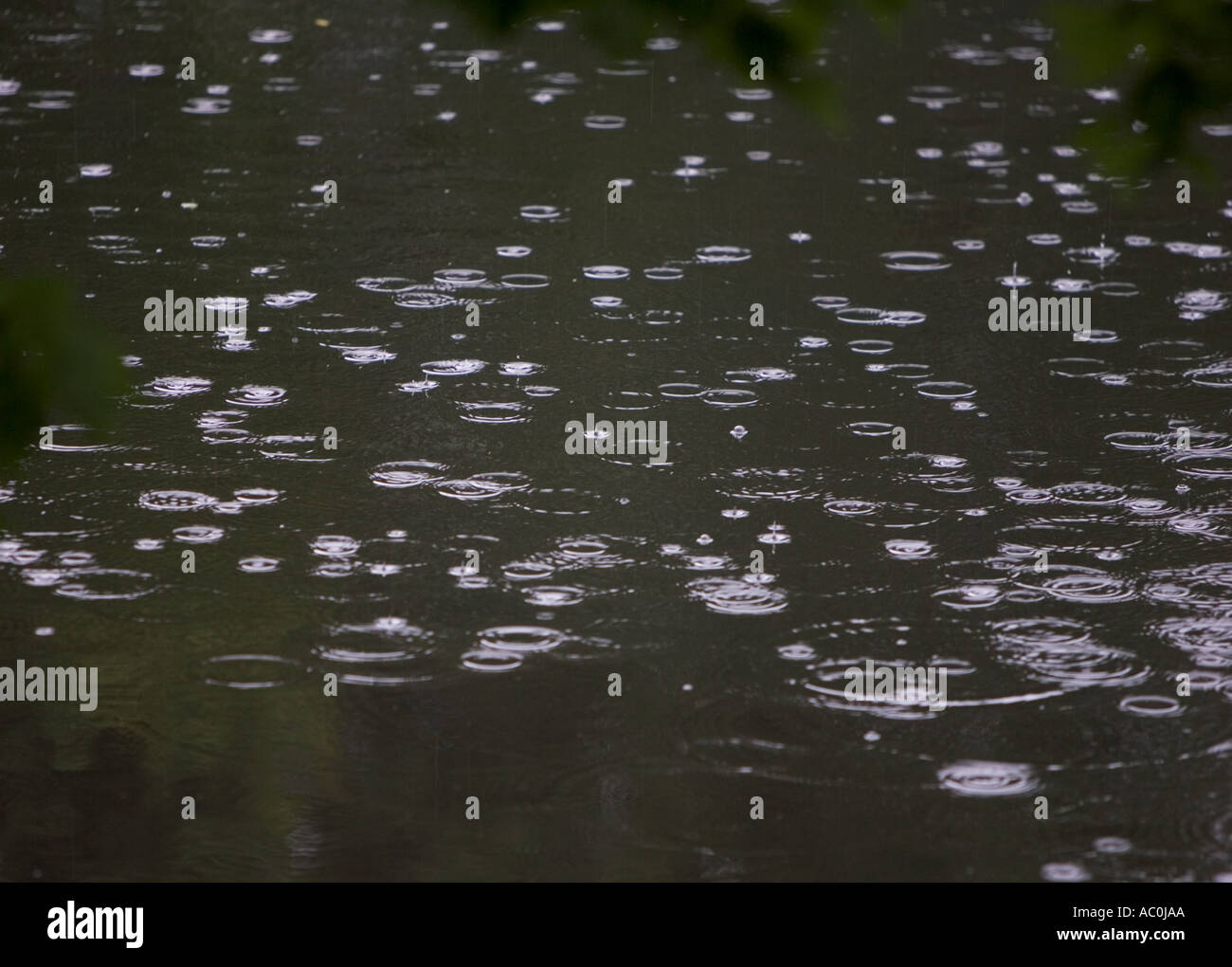 Summer rain on lake hi-res stock photography and images - Alamy