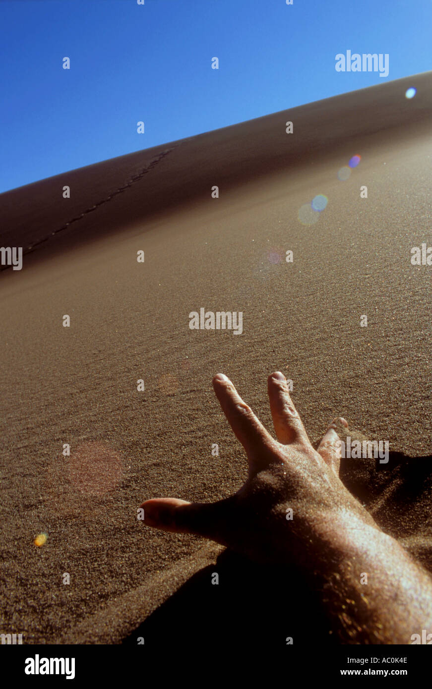 Person dying of thirst in the desert under the hot blazing sun Actually ...
