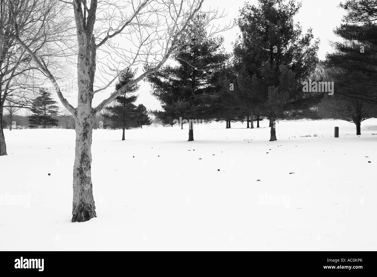 Winter scene on golf course hi-res stock photography and images - Alamy