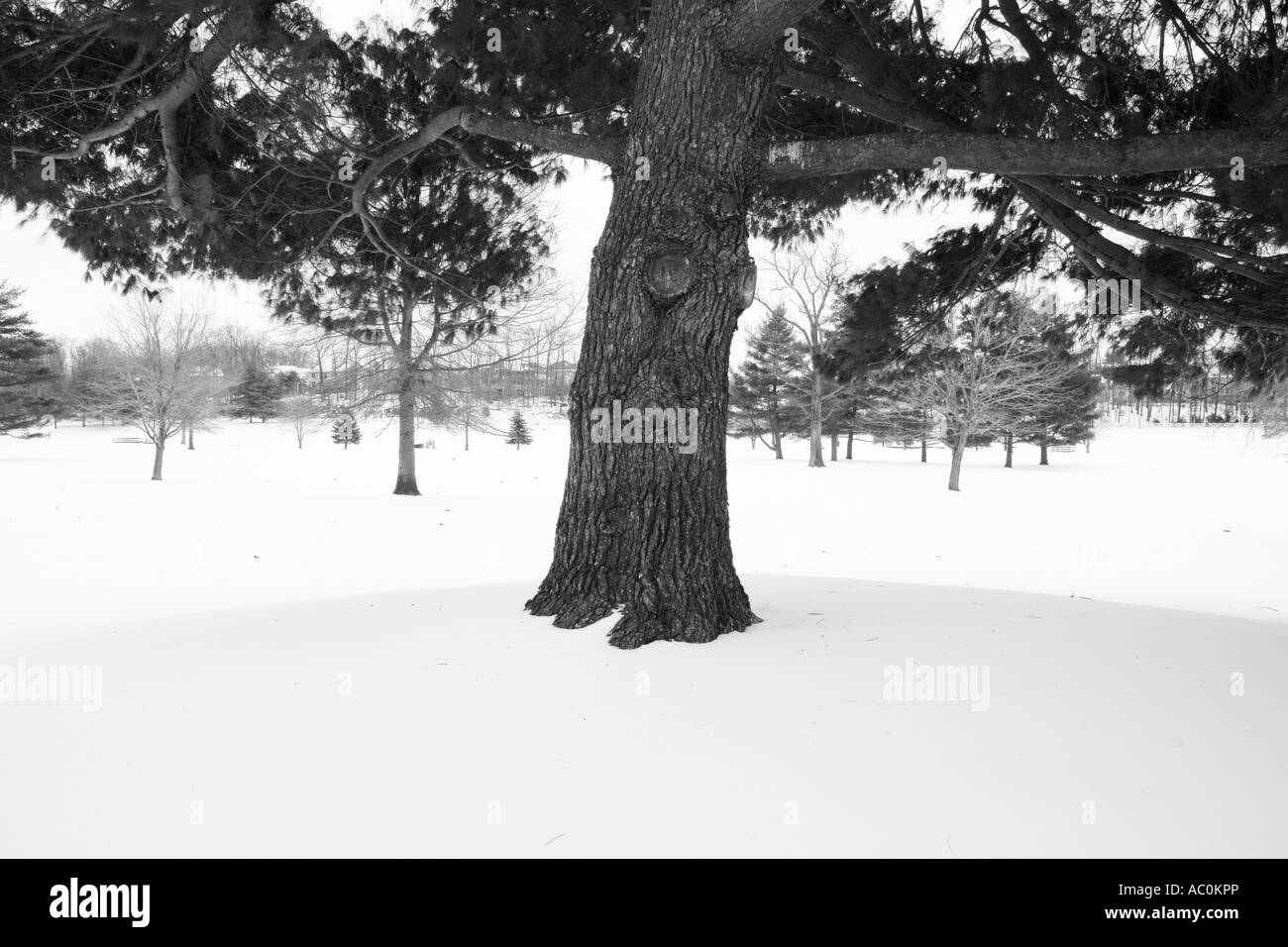 Winter scene on golf course hi-res stock photography and images - Alamy